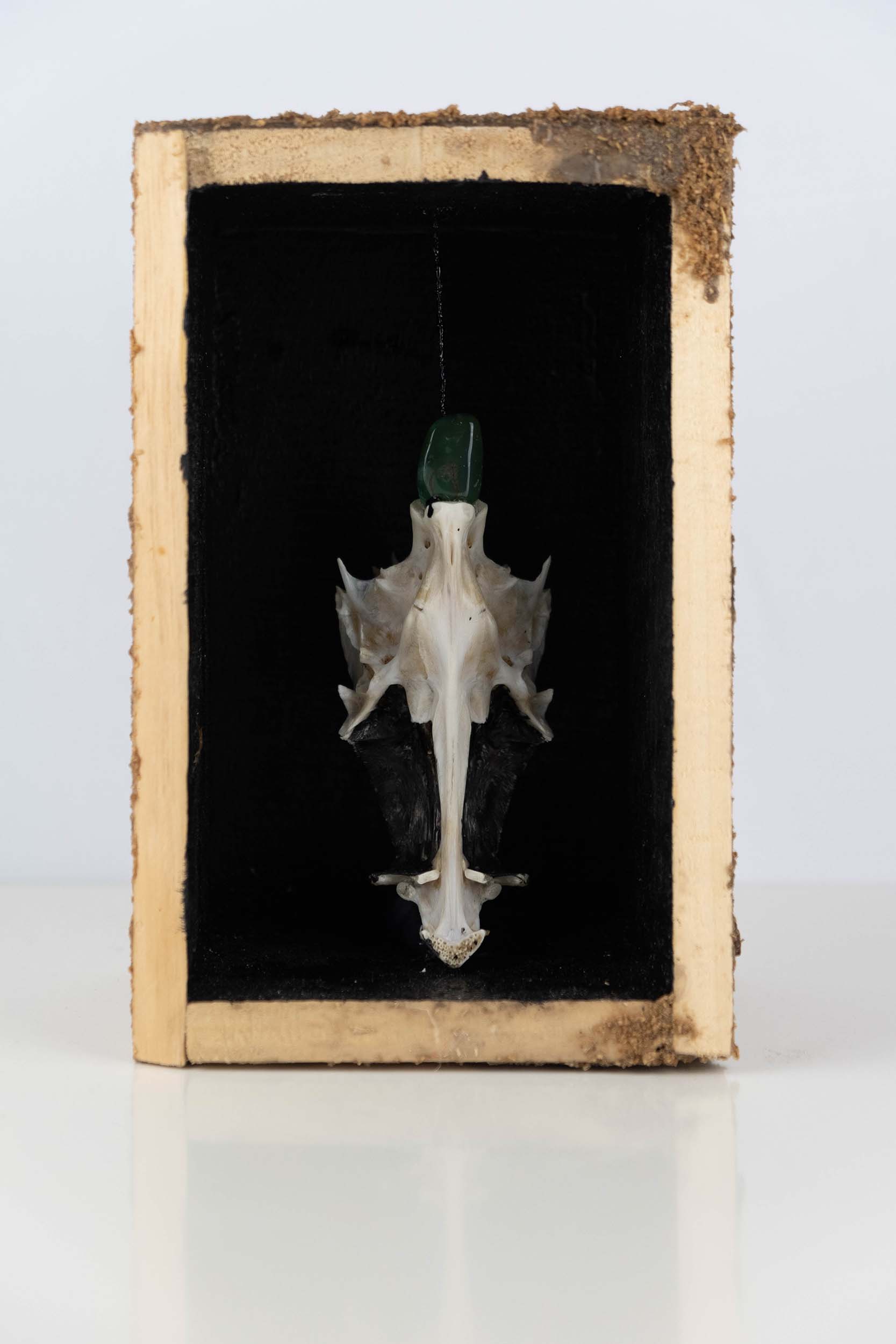 Objetos Anos 2000 – Maria Lino