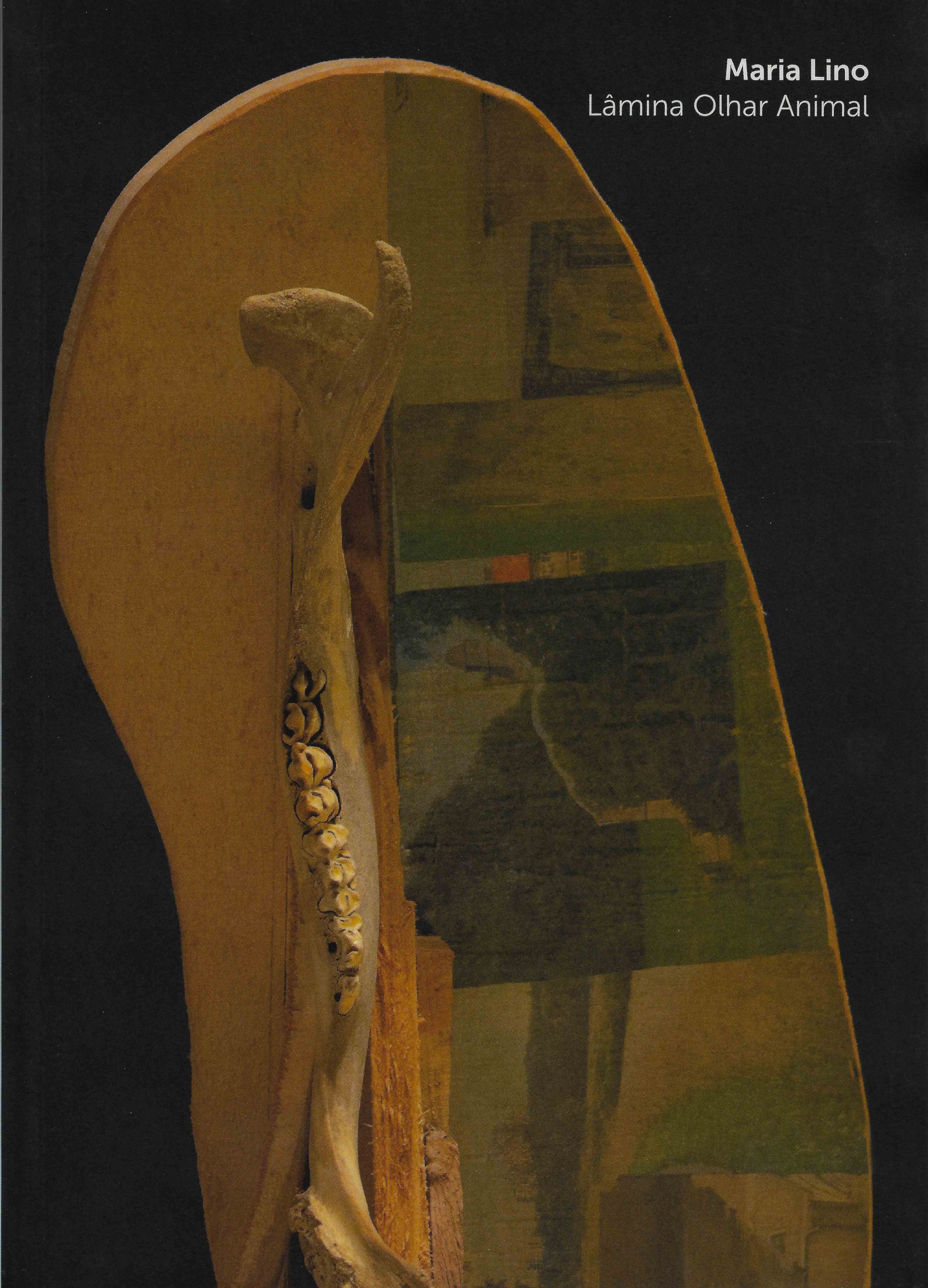 Publicações – Maria Lino